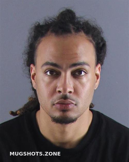 MCNUTT CHRISTOPHER S 08/24/2024 - Peoria County Mugshots Zone