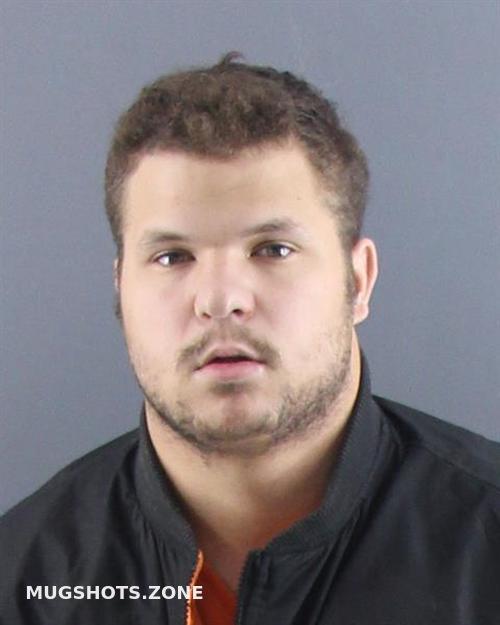 SANDER DALTON L 11/29/2024 - Peoria County Mugshots Zone