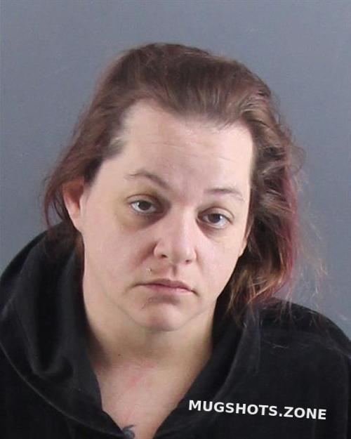 Ellis Ashley D 12 02 2024 Peoria County Mugshots Zone