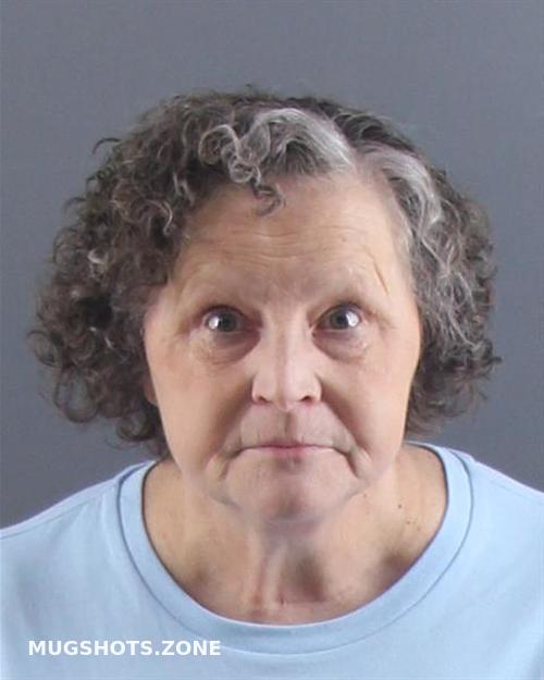 ROBINSON CINDA M 02/02/2025 - Peoria County Mugshots Zone