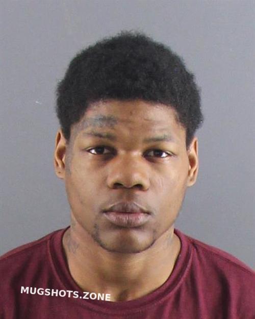 REED DEVION M 03/21/2025 - Peoria County Mugshots Zone