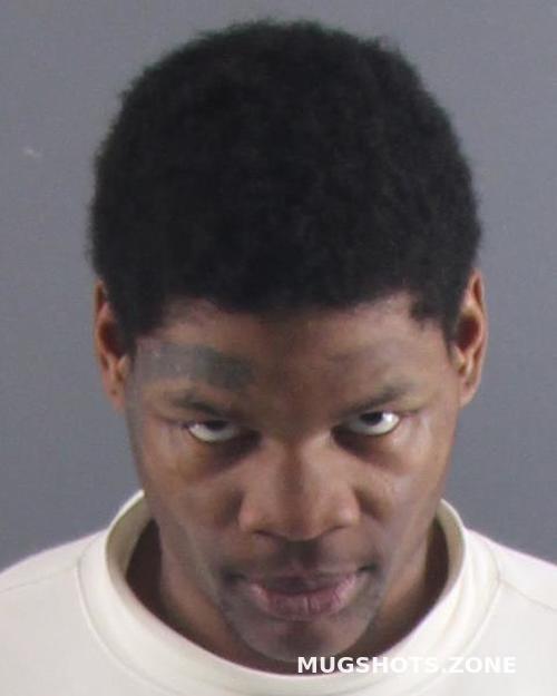 REED DEVION M 04/23/2025 - Peoria County Mugshots Zone