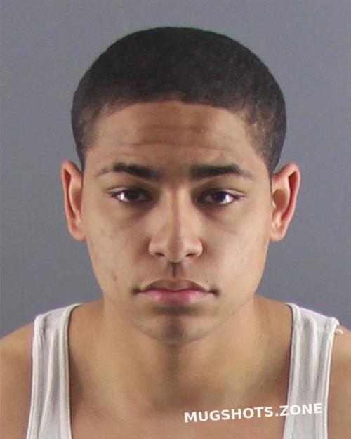 LYON TYLER STILLMAN 04/30/2025 - Peoria County Mugshots Zone