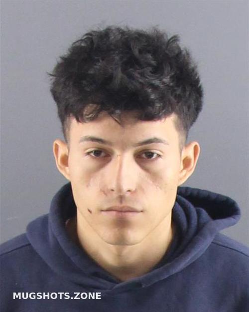 RAMOS DARLING 05/03/2025 - Peoria County Mugshots Zone