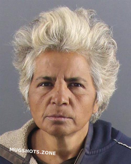 VALENZUELA SANDRA LIVIA 05/28/2025 - Peoria County Mugshots Zone
