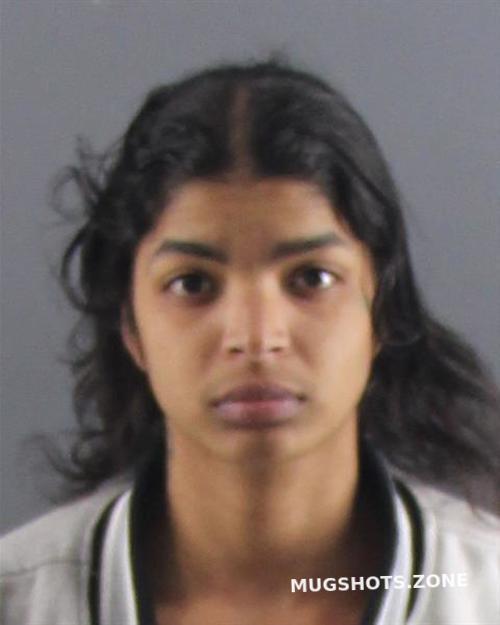 LULAY LINDSEY M 05/29/2025 - Peoria County Mugshots Zone