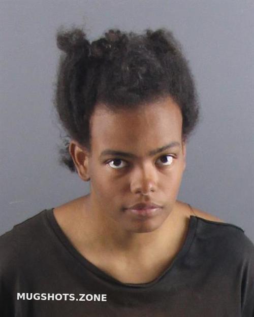 PAYNE JILLIAN MARIAH 06/13/2025 - Peoria County Mugshots Zone