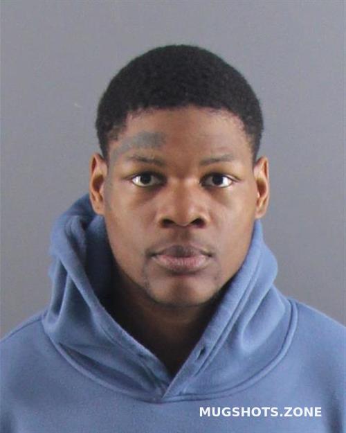 REED DEVION M 06/16/2025 - Peoria County Mugshots Zone