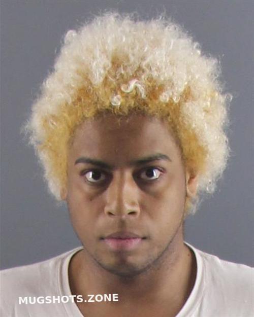 PARKS TREVIS L 06/17/2025 - Peoria County Mugshots Zone