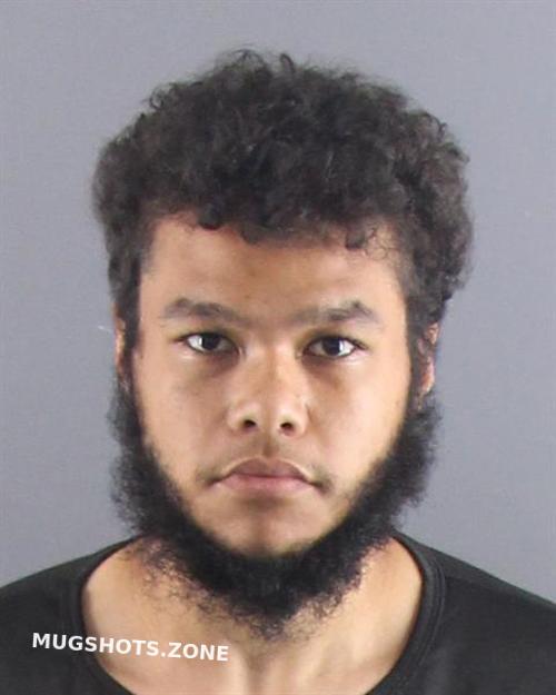 MCNEESE MERICK A 06/17/2025 - Peoria County Mugshots Zone