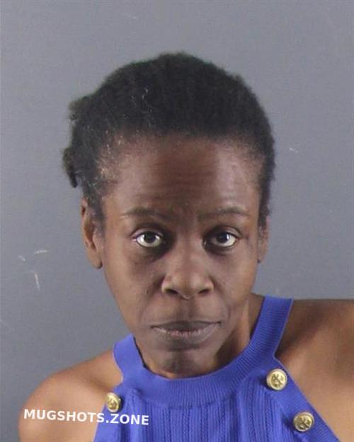 CHANEY DIANA M 07/11/2025 - Peoria County Mugshots Zone