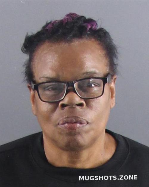 PIERSON ANDREA R 08/24/2025 - Peoria County Mugshots Zone