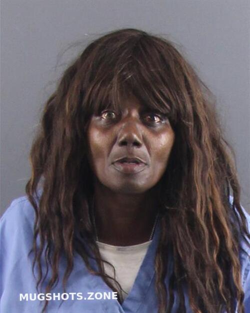 PHELPS CHERRY L 10/19/2025 - Peoria County Mugshots Zone