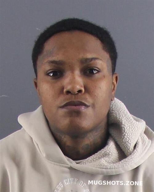 RICKS DESIREE J 11/15/2025 - Peoria County Mugshots Zone