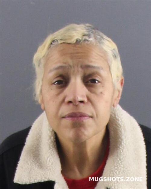 MOORE SHARI RENE 11/20/2025 - Peoria County Mugshots Zone