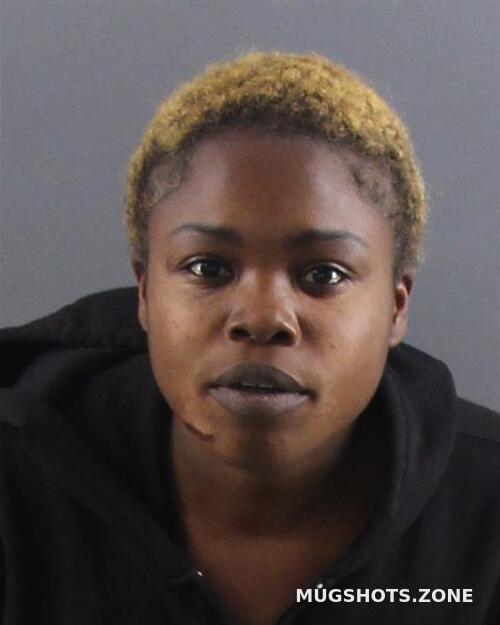 PERKINS ASHLEY NICHOLE 11/24/2025 - Peoria County Mugshots Zone