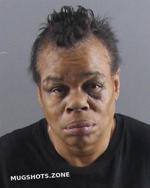 PIERSON ANDREA R 12/27/2025 - Peoria County Mugshots Zone