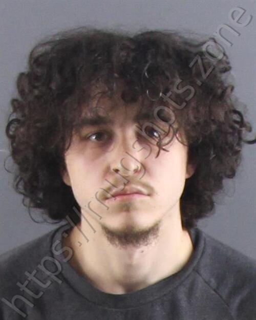 BRAGG ETHAN E 03/30/2026 - Peoria County Mugshots Zone