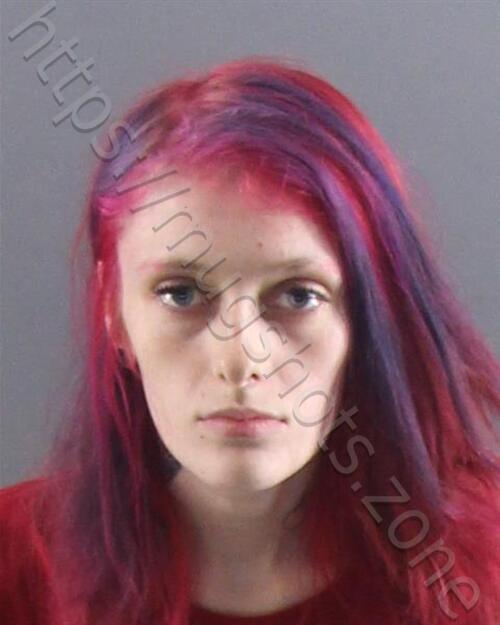 KARSHNER SELENA M 06/08/2026 - Peoria County Mugshots Zone