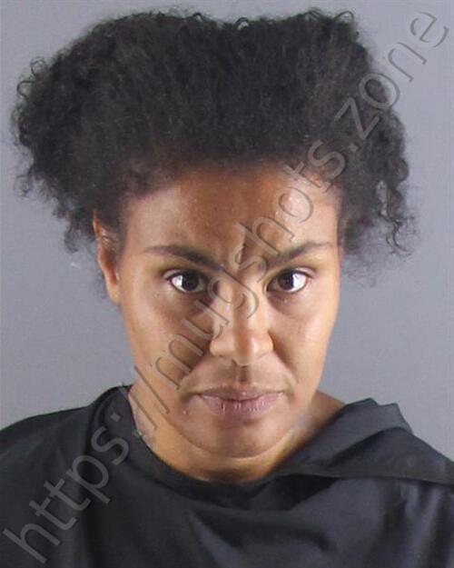 BROWN ELIZABETH O 06/09/2026 - Peoria County Mugshots Zone