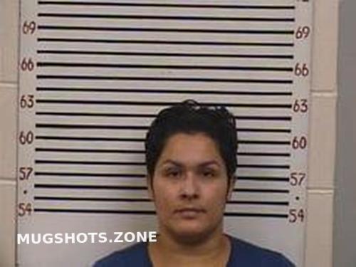 NORMA JONES 09/07/2024 - Pickens County Mugshots Zone