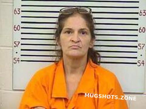 ELIZABETH MCDANIEL 08/06/2025 - Pickens County Mugshots Zone