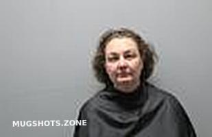 HOLLINGSWORTH CASI NICOLE 02/10/2024 - Pickens County Mugshots Zone