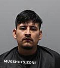 VITE CRISPIN TORRES 02/02/2025 - Pickens County Mugshots Zone