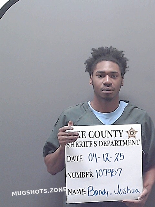 BANDY JOSHUA D 04/12/2025 - Pike County Mugshots Zone