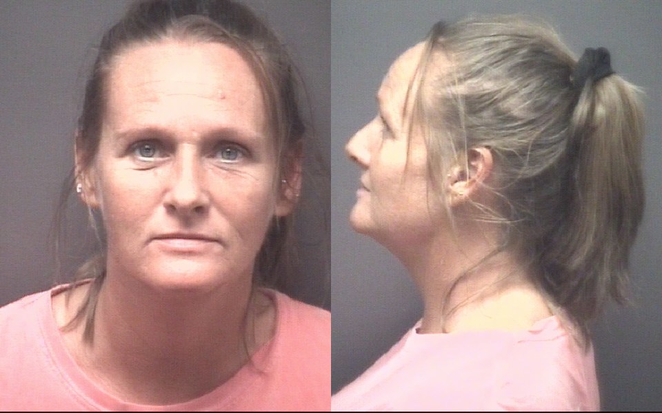 BRILEY SHANNON DANIELLE 02/26/2021 - Pitt County Mugshots Zone