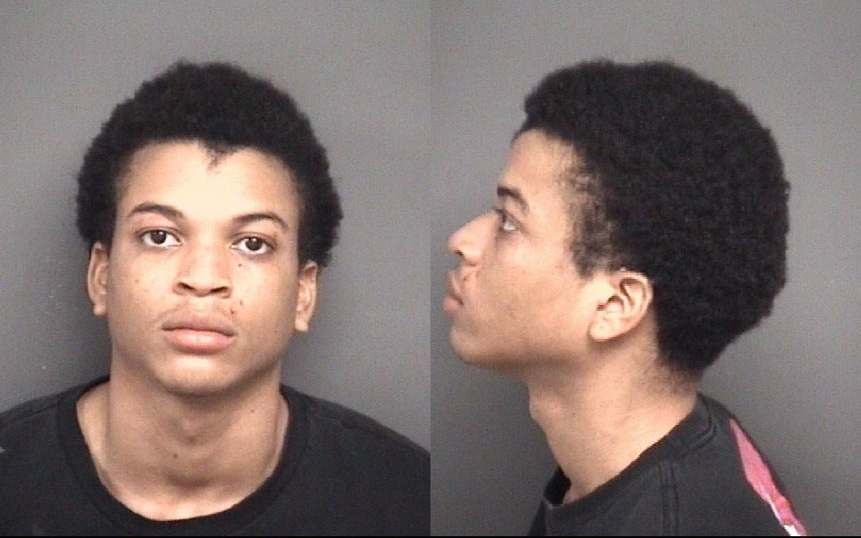 JOHNSON JR TERRANCE JEROME 03/02/2021 - Pitt County Mugshots Zone