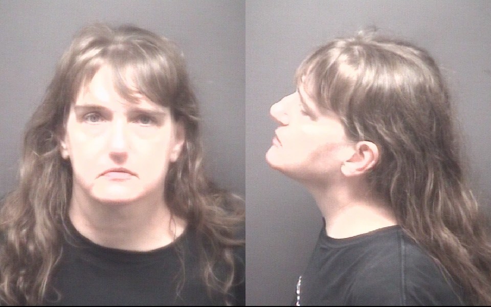 WINSTEAD MELISSA SUE 03/06/2021 - Pitt County Mugshots Zone