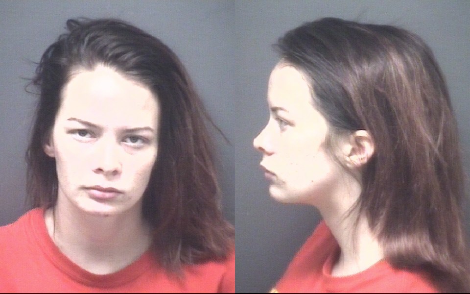 MORELOCK TAYLOR NICOLE 03/24/2021 - Pitt County Mugshots Zone