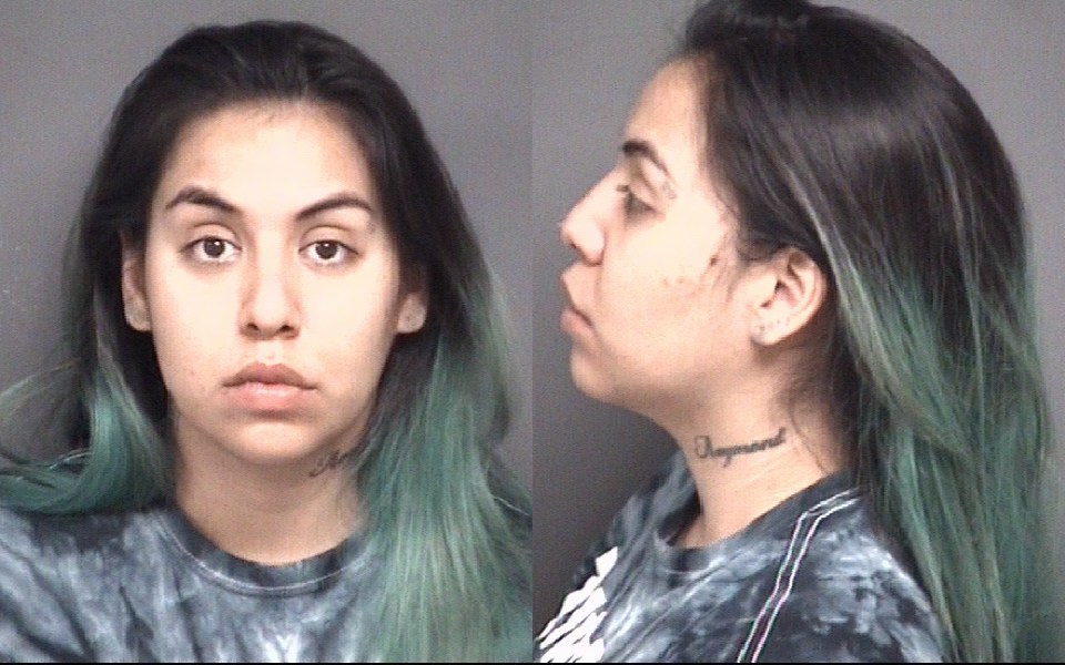 REYNA CRYSTAL LISET 03/25/2021 - Pitt County Mugshots Zone