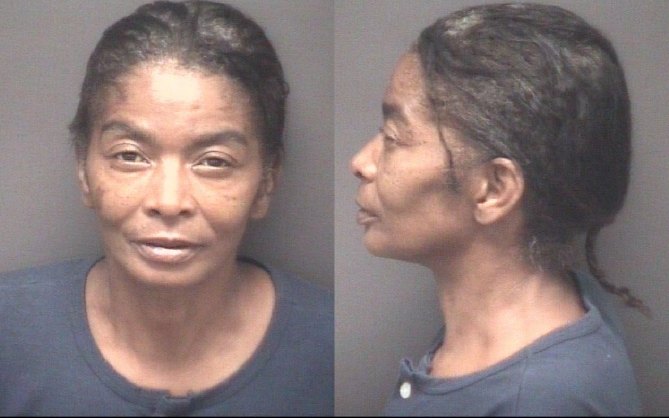 TURNER BRENDA KAY 04/20/2021 - Pitt County Mugshots Zone