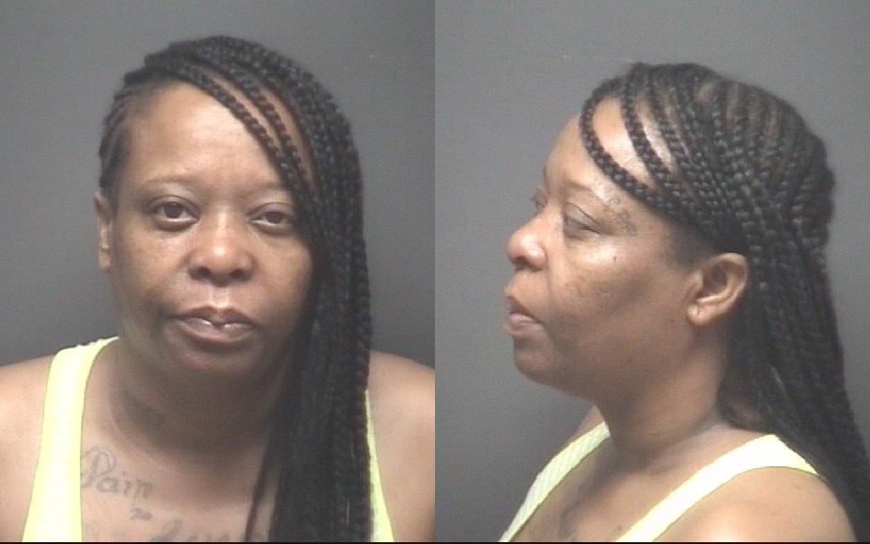 WARD MINNIE LOUISE 05/05/2021 - Pitt County Mugshots Zone