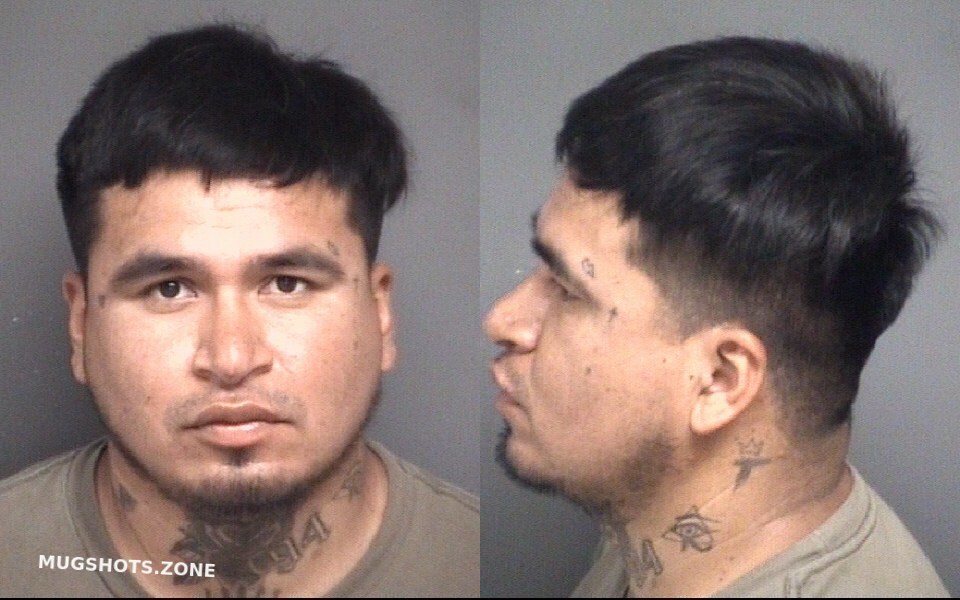 TREJO SERGIO 10/30/2021 - Pitt County Mugshots Zone