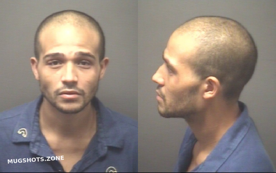 ANDERSON DOMINIQUE ANGELO 09/20/2022 - Pitt County Mugshots Zone