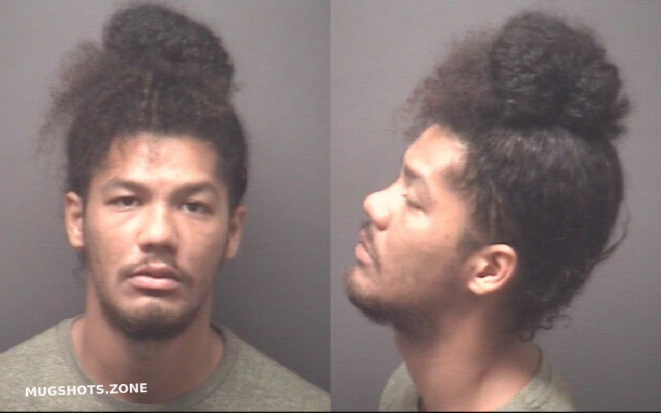 HOFFMAN MALEEK ARI 11/14/2022 - Pitt County Mugshots Zone