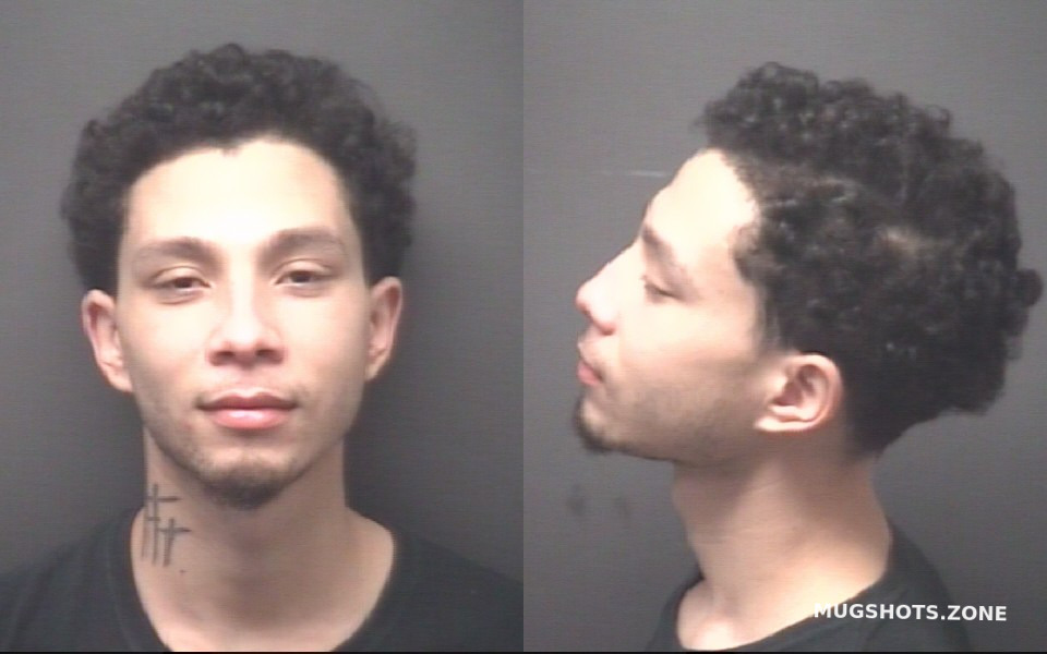 HOWARD JONI LEESHAY 03/16/2023 - Pitt County Mugshots Zone