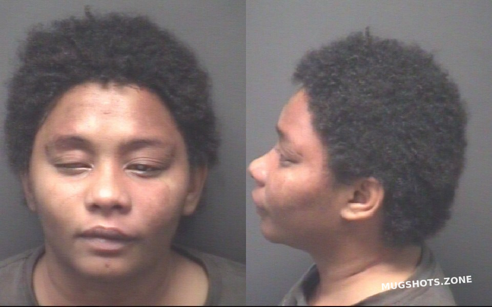 NICHOLS TAYLOR SANTANA 06/27/2023 - Pitt County Mugshots Zone