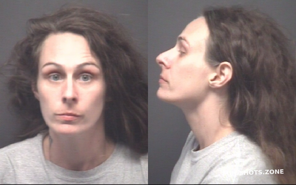 DAVIS SHEILA ELAINE 04/29/2024 - Pitt County Mugshots Zone