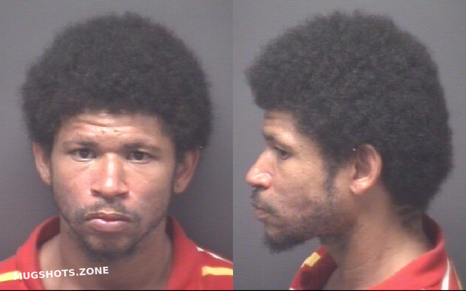 PAIGE THELONIOUS AMADA 06/07/2024 - Pitt County Mugshots Zone