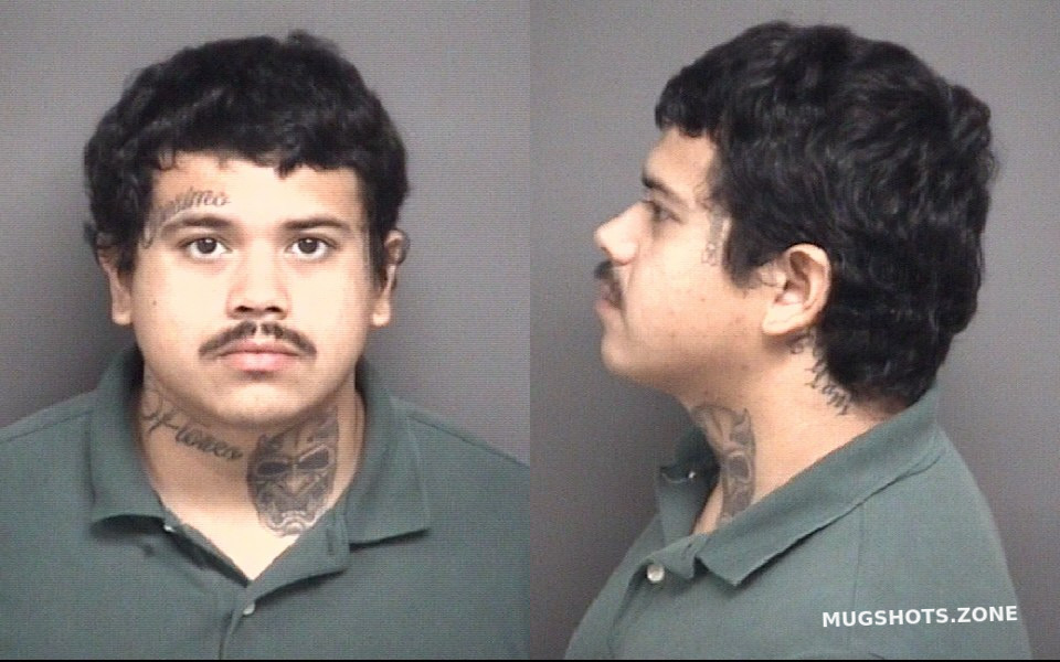 FLORES-MORA ERIC DAVID 08/10/2024 - Pitt County Mugshots Zone