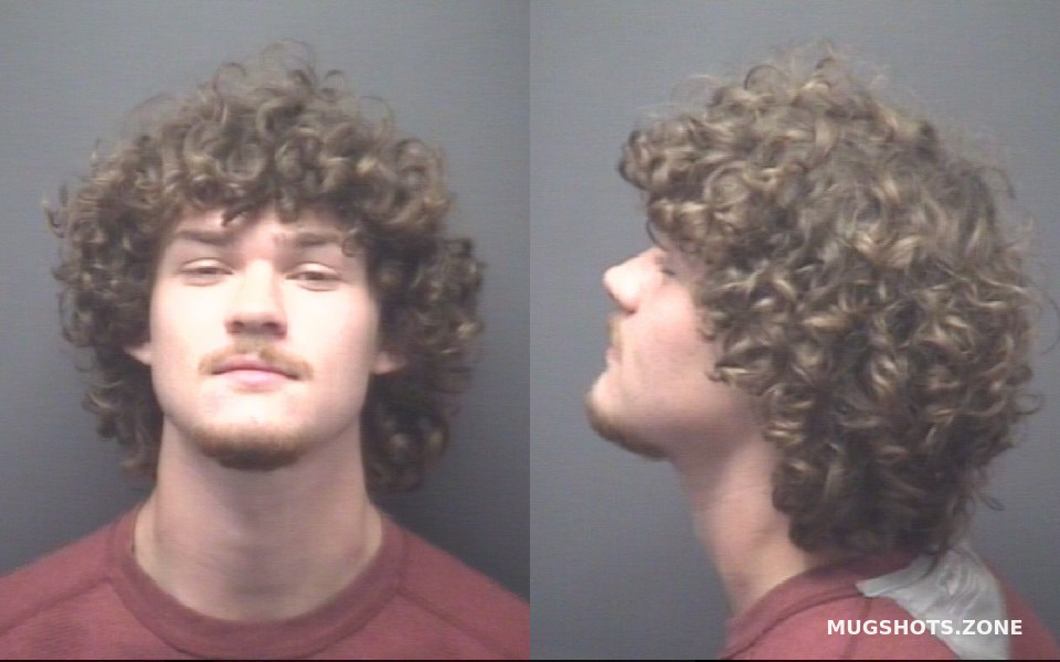 DAVIS NICKOLAS PAUL 08/24/2024 - Pitt County Mugshots Zone