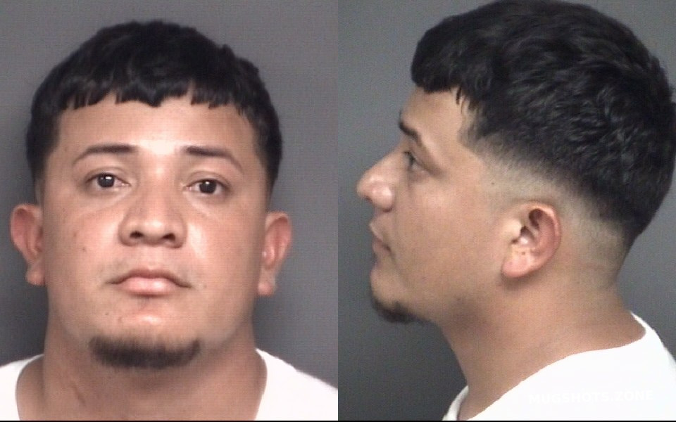 SANDOVAL GUTIERREZ RICARDO ENRIQUE 09/08/2024 - Pitt County Mugshots Zone