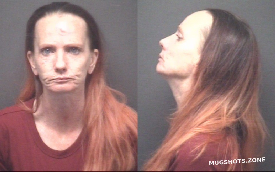 STEPHENSON CARLA ANN 12/14/2024 - Pitt County Mugshots Zone
