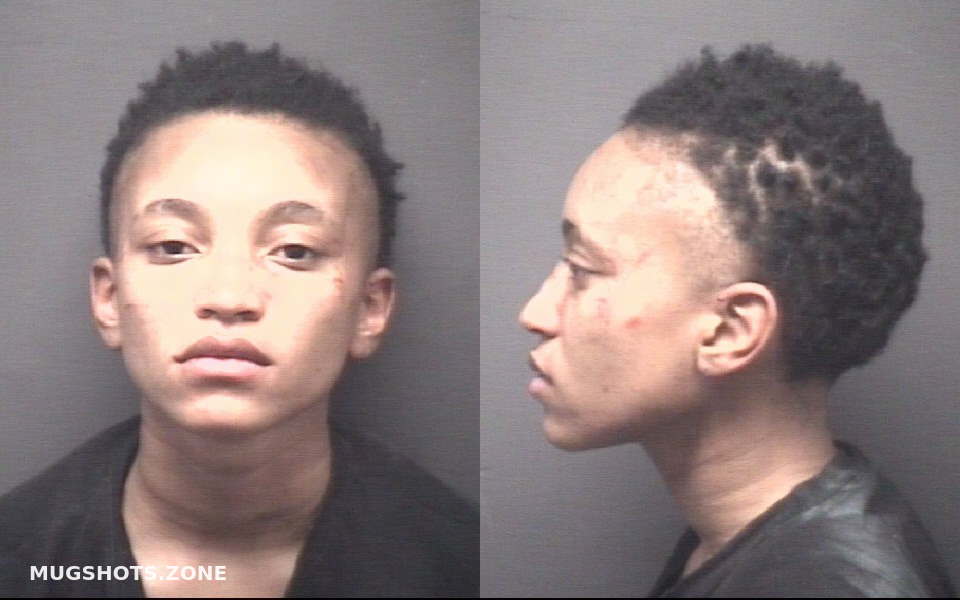CLARK SHANIYA 03/22/2025 - Pitt County Mugshots Zone