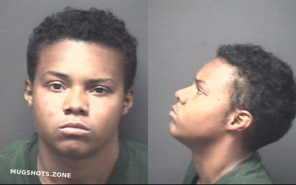 COLLINS MAKAYLA BRYNAE 04/23/2025 - Pitt County Mugshots Zone