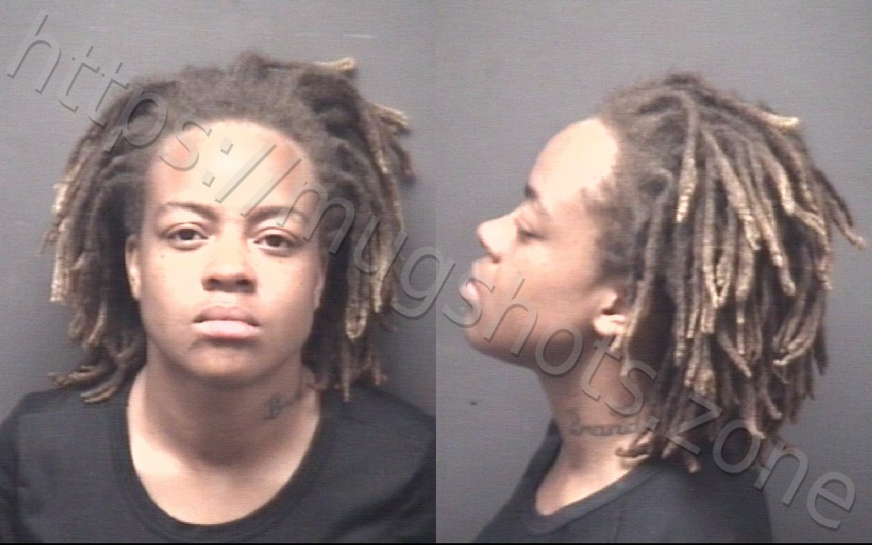 BOOMER JADA SAUDE 03/26/2026 - Pitt County Mugshots Zone